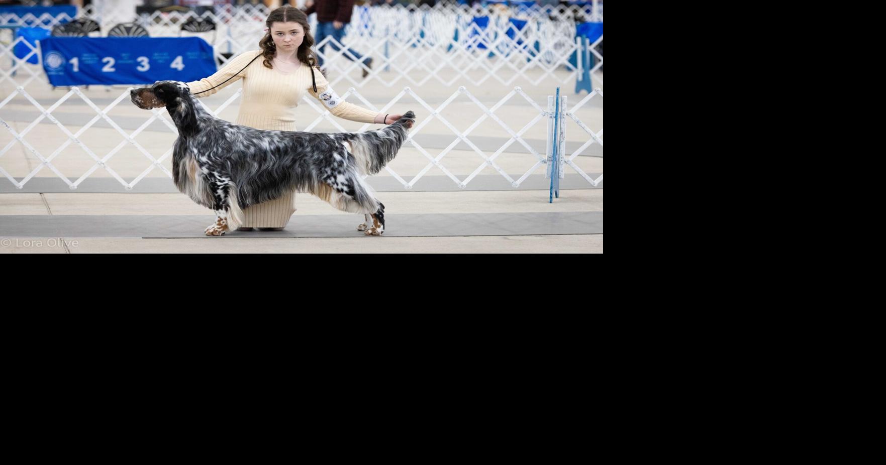 Winter Classic Dog Show | Entertainment | nuvo.net