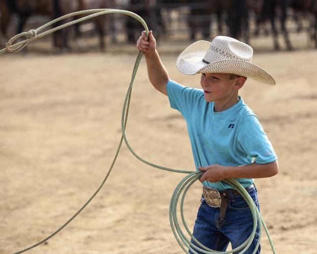 Slideshow: Indiana State Fair's Rodeo | Multimedia | nuvo.net