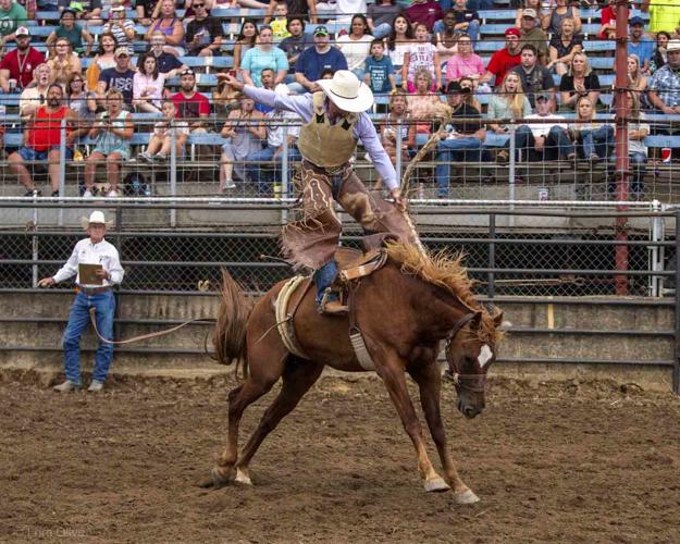 Slideshow: Indiana State Fair's Rodeo | Multimedia | nuvo.net