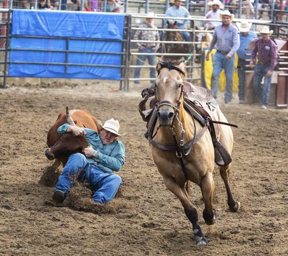 Slideshow: Indiana State Fair's Rodeo | Multimedia | nuvo.net