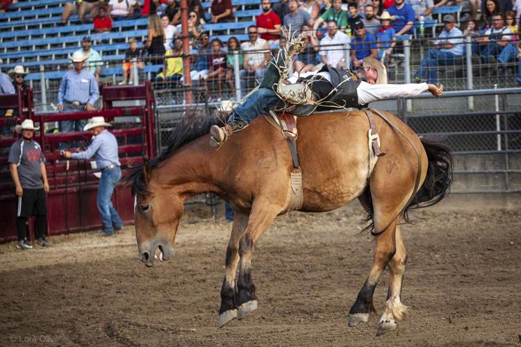 Slideshow: Indiana State Fair's Rodeo | Multimedia | nuvo.net