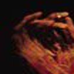 dissected body exhibit