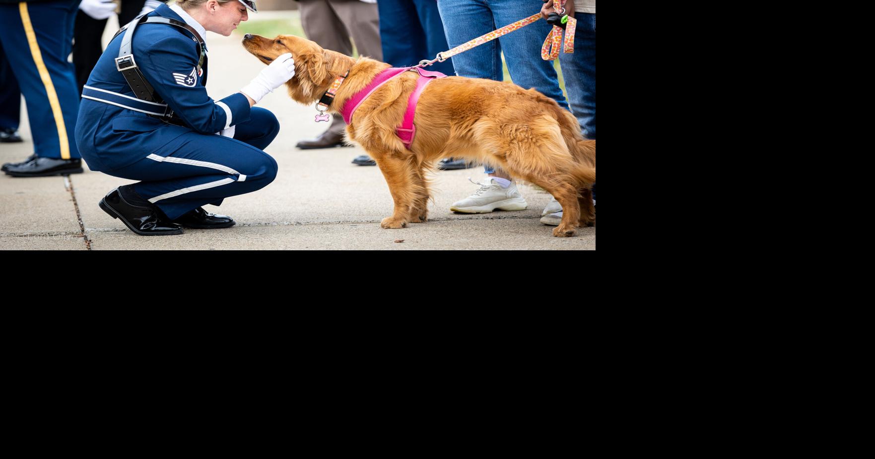 Slideshow: Veterans Day Memorial Service and Parade Return to Downtown ...