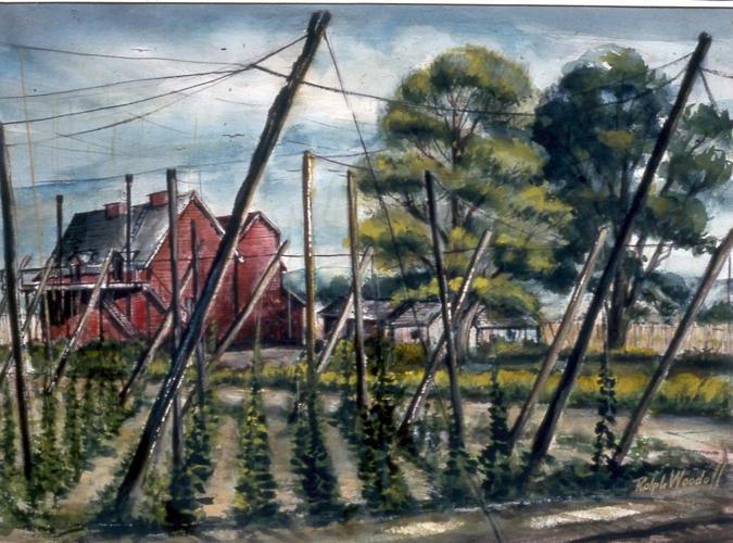 Celebrating the Herb of the Year: Hops | Beerbuzz | nuvo.net