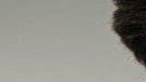 susan grund interview