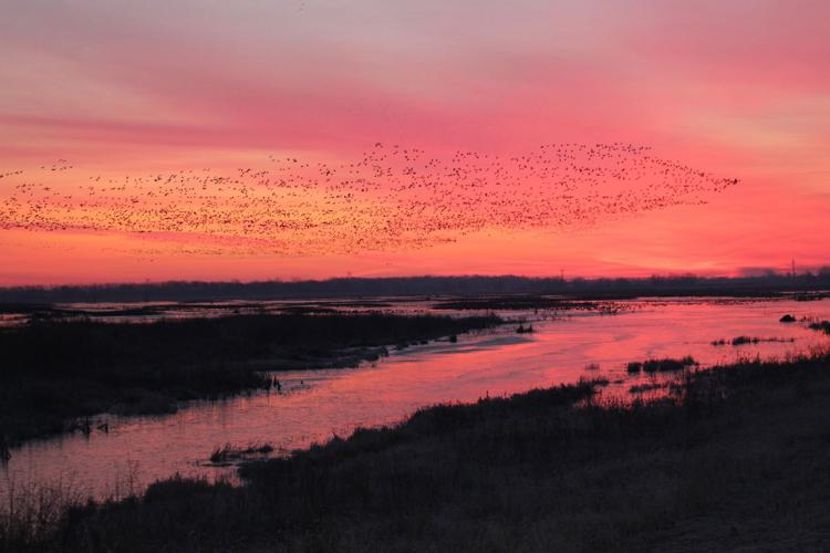 Goose Pond Visitor Center grand opening provides spectacular sights ...
