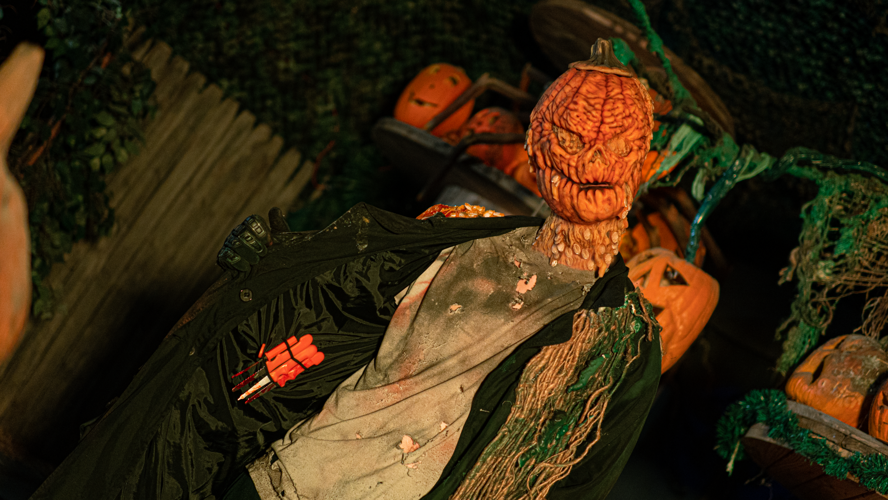 Lights, Camera, Death | Entertainment | nuvo.net