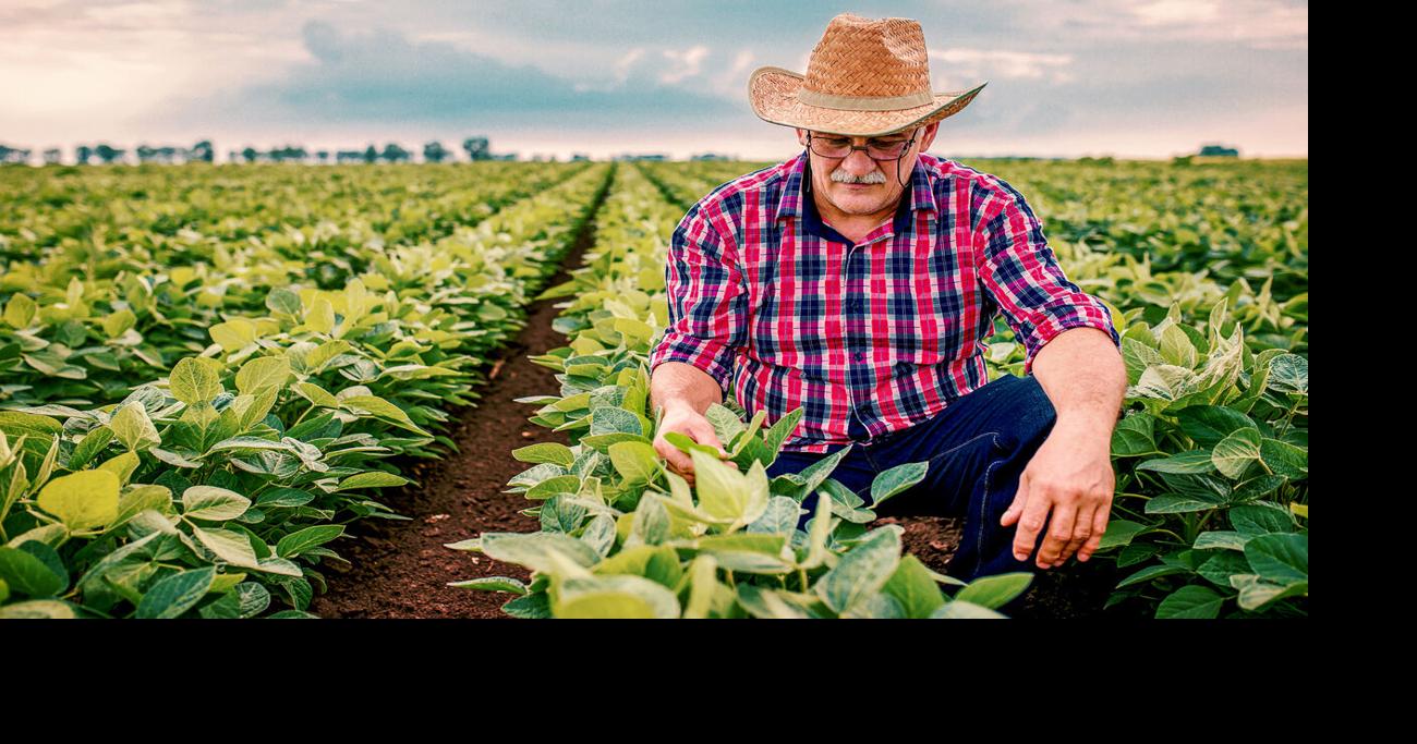 Rethinking Midwestern Agriculture | Environment | nuvo.net