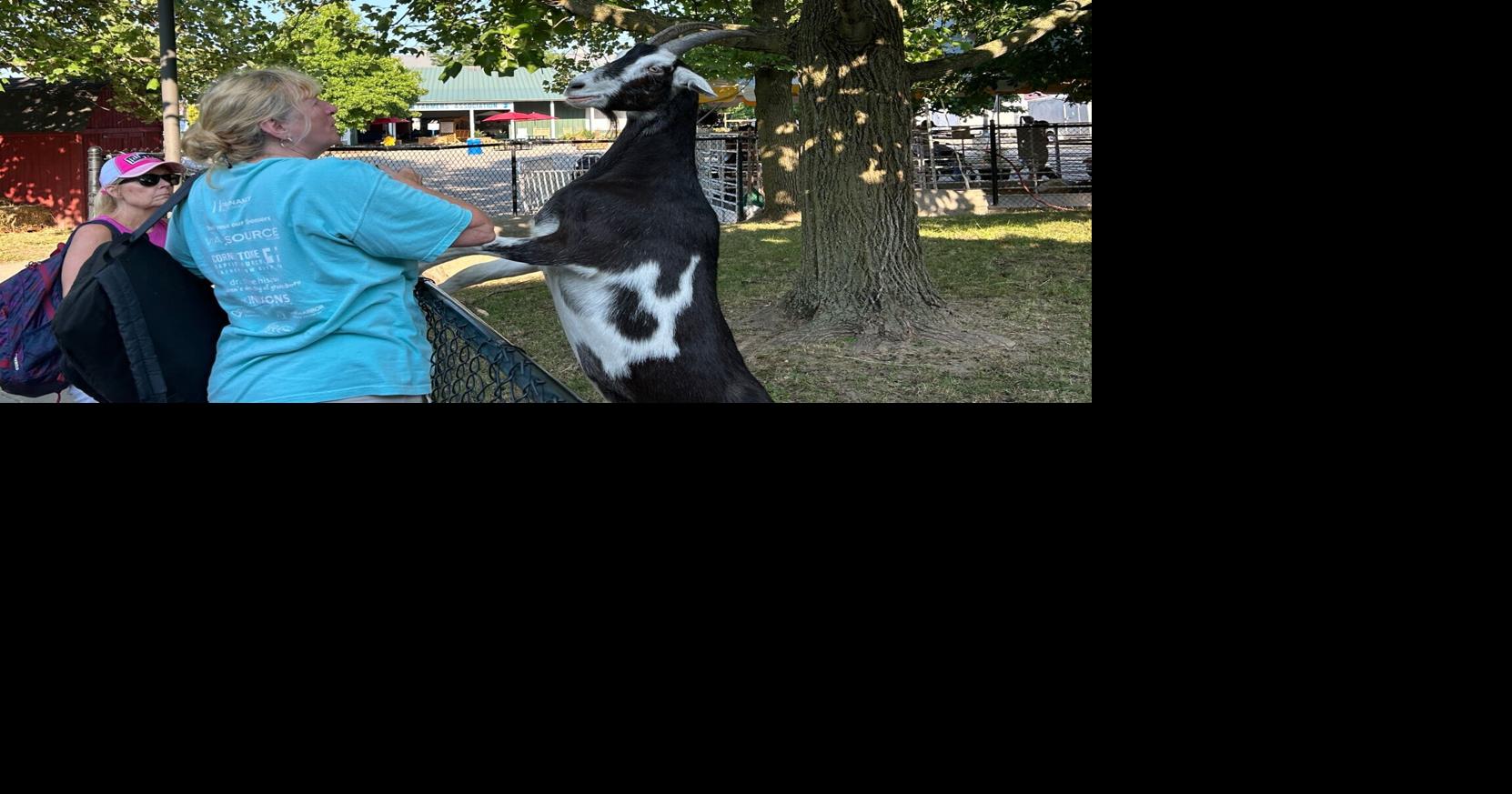 Nora at the 2023 Indiana State Fair - Day Five | Entertainment | nuvo.net