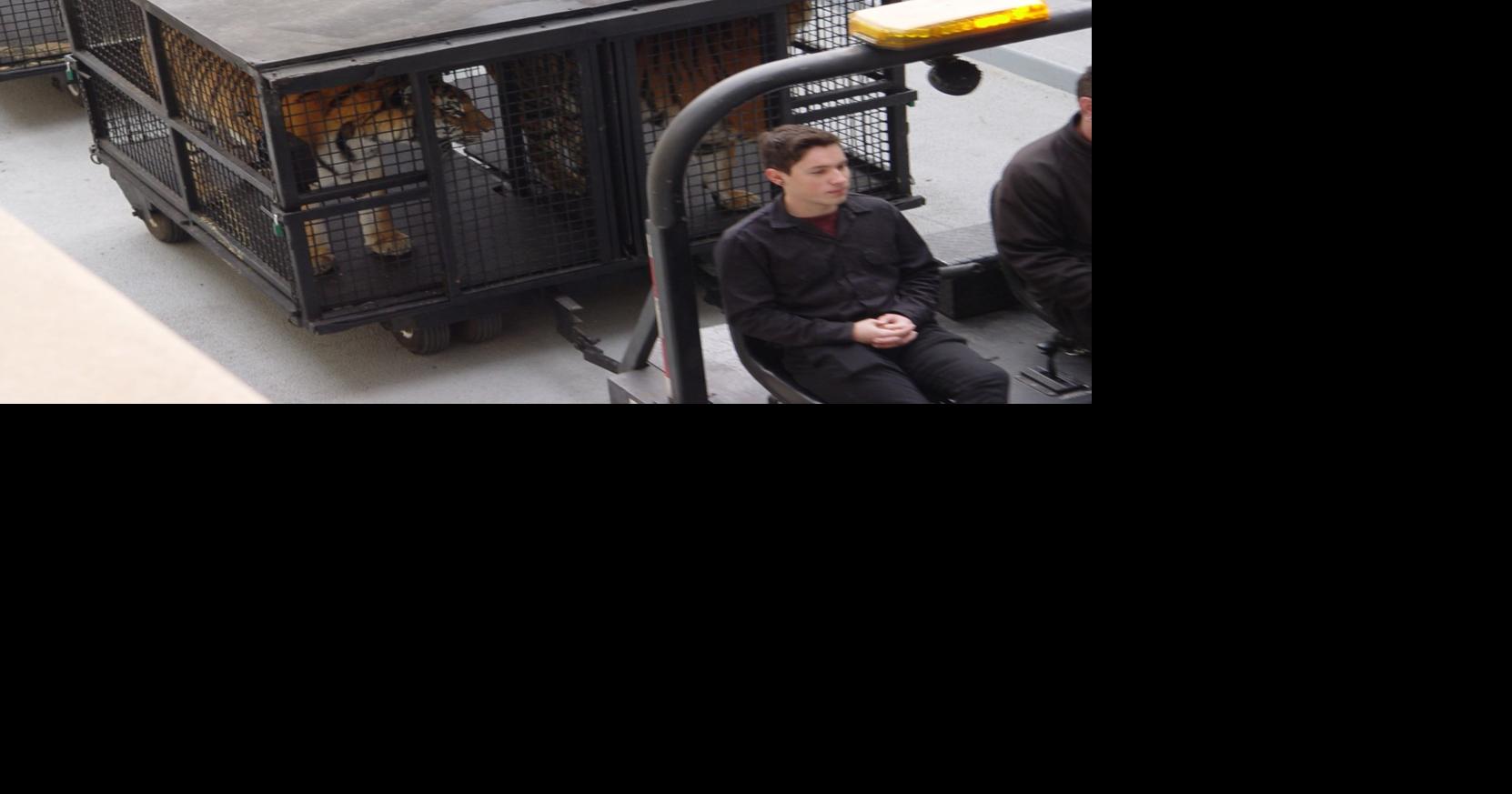 Standing up against cruelty and neglect: The choice to protest the use ...