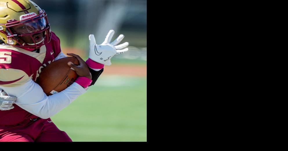 SU football takes on Averett, aims for strong finish | Nvdaily ...