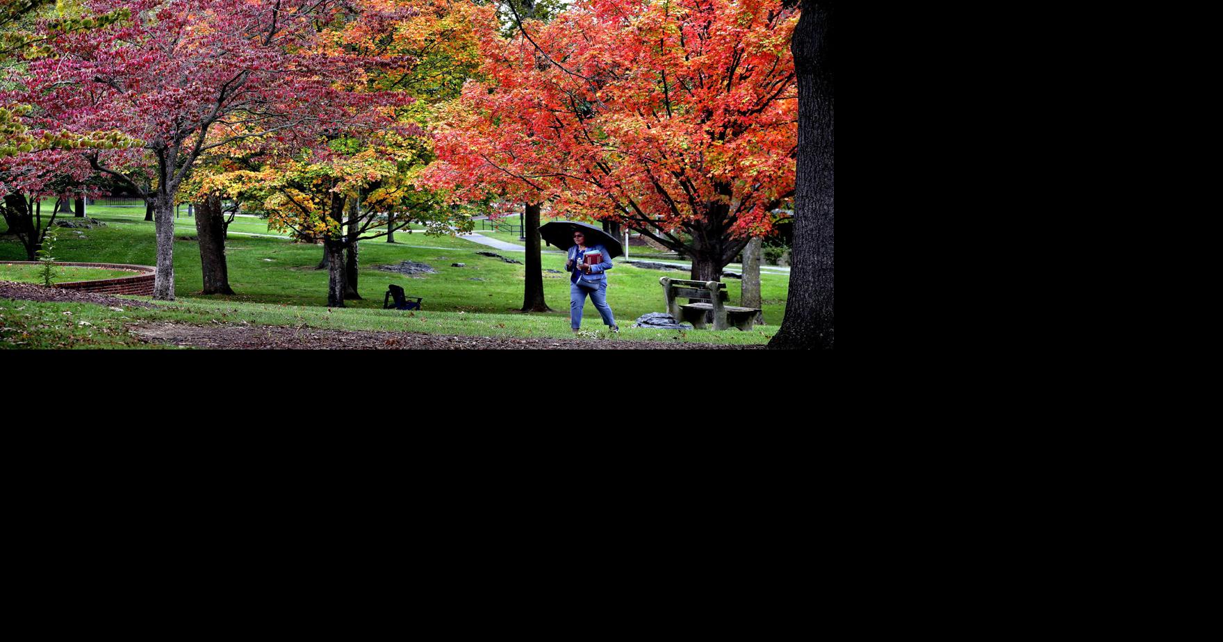 'Blockbuster fall' on tap as peak autumn foliage approaches | Nvdaily ...