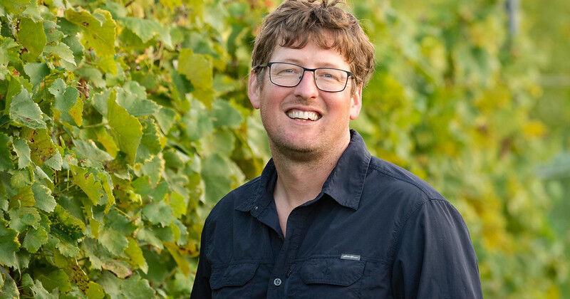 A grape honor: Winchester resident wins Grower of the Year | Nvdaily ...