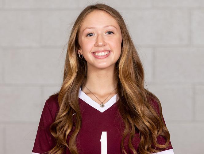 Wildcats secure state volleyball berth, top Dragons in four | Nvdaily ...