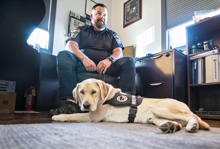 New Market Police Department welcomes new service dog | Nvdaily ...