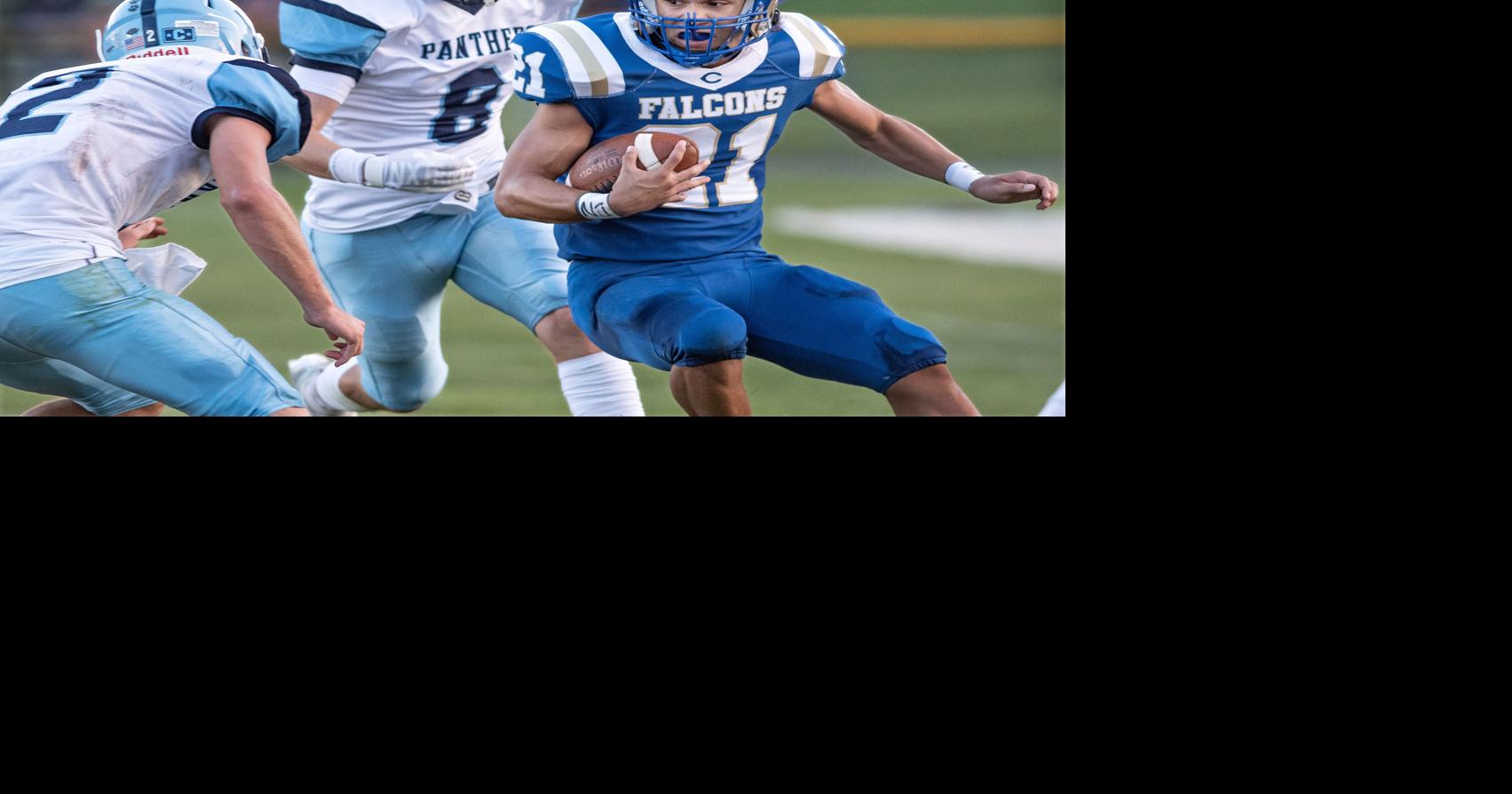 Falcons knock off Panthers in season opener | Nvdaily | nvdaily.com