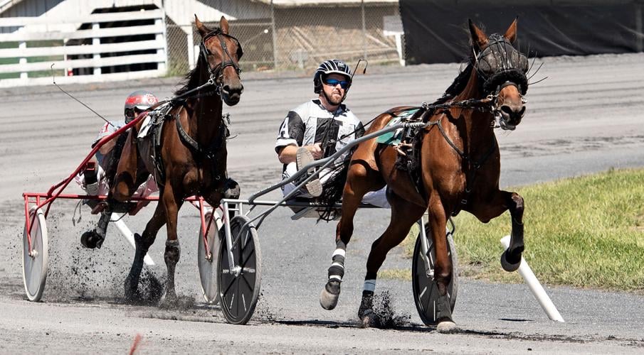Fair Harness Racing | Nvdaily | nvdaily.com
