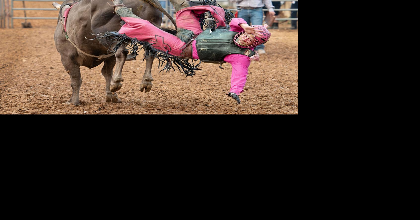 Warren County Fair opens with fan favorites and new events | Nvdaily ...