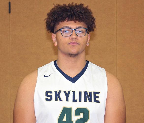 2021 Offensive Football All-Area Team | Nvdaily | nvdaily.com