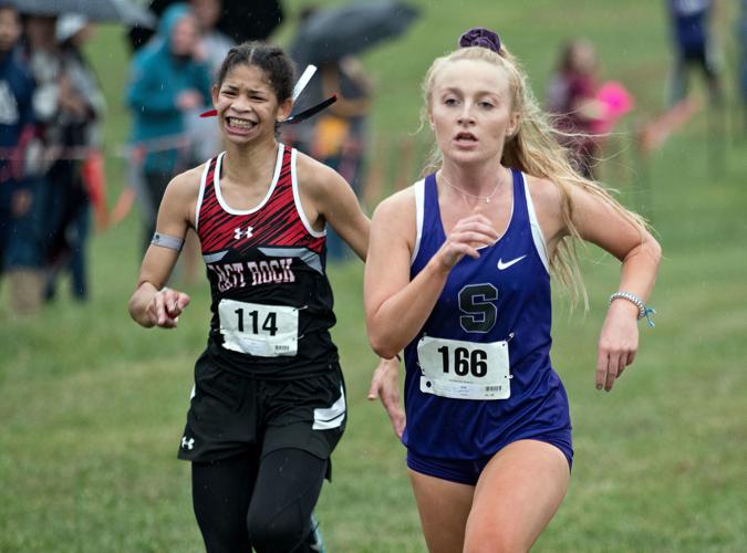 Stonewall Dellinger finishes seventh, Rams place third in district meet ...