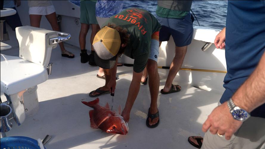 Fishermen prepared for the longest red snapper season in recent memory ...