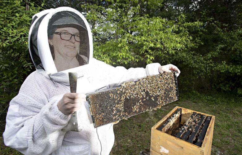 Saving the bees: Fort Valley beekeepers fight climate change, invasive ...