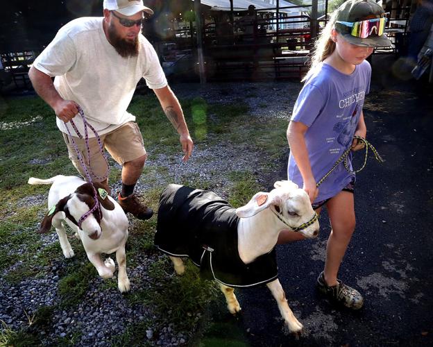 Frederick County Fair Begins | Nvdaily | nvdaily.com