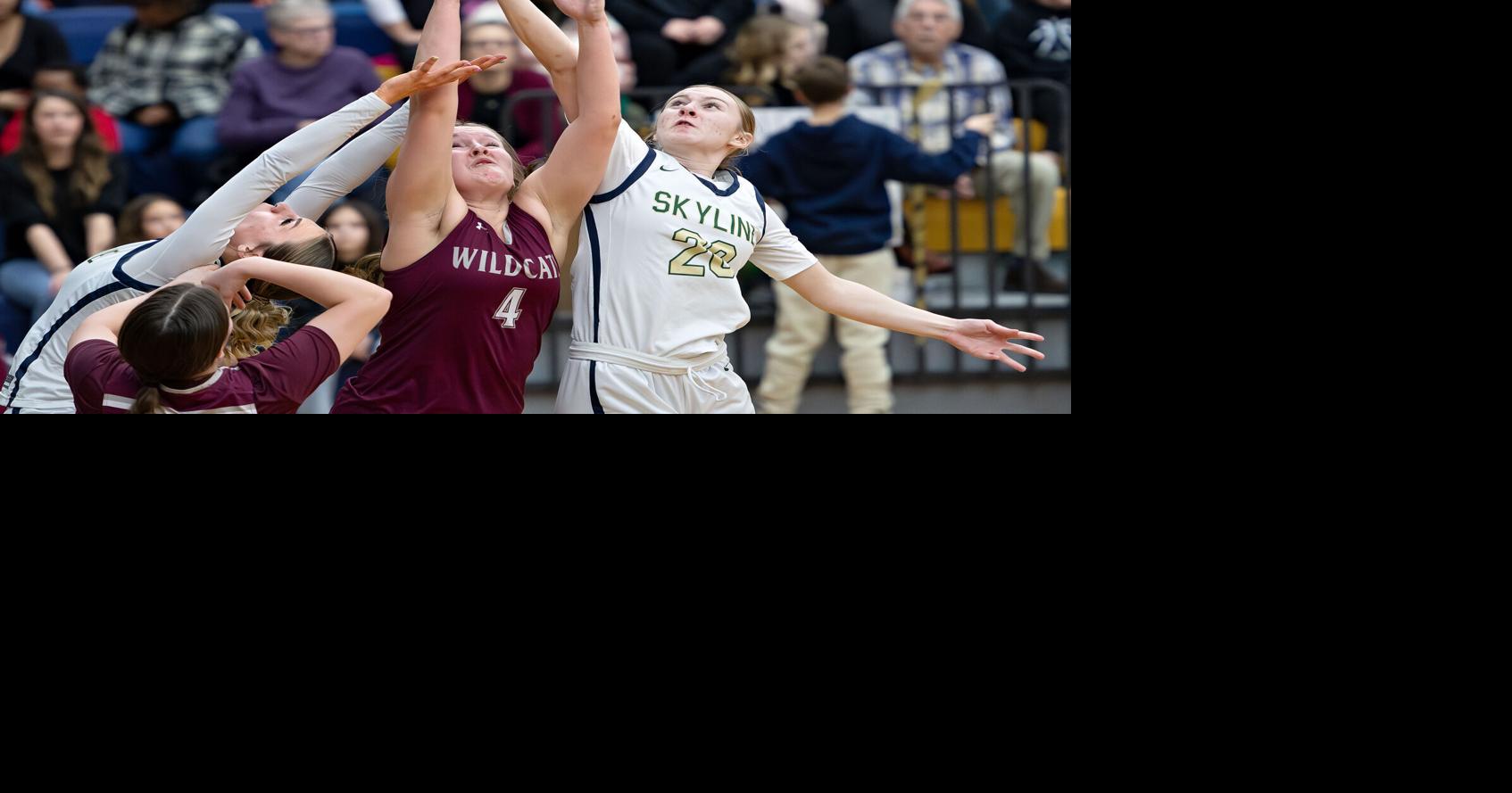 Strong start sparks Hawks to win over Wildcats | Nvdaily | nvdaily.com