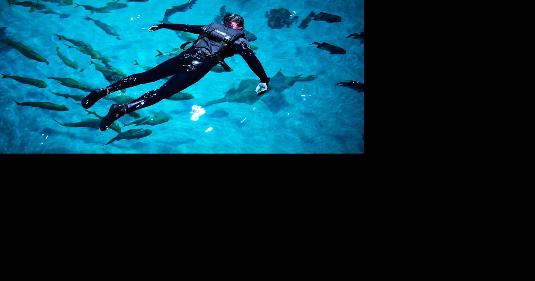 Injured US military veterans find relief and awe swimming with a whale ...