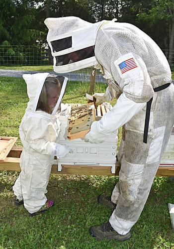 Tiny beekeeper | Nvdaily | nvdaily.com