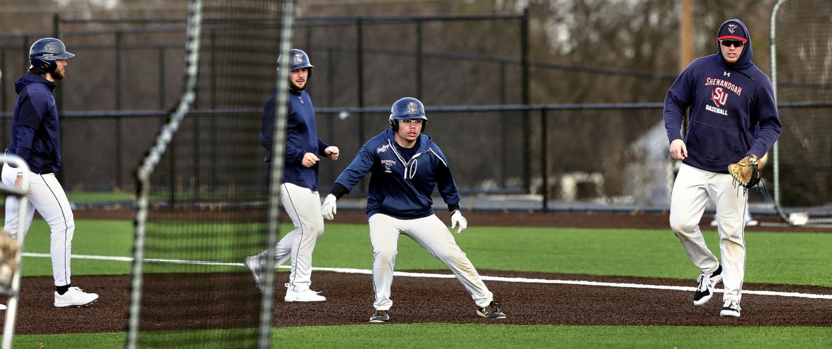 Renovated Bridgeforth a joy for SU baseball | Sports | nvdaily.com
