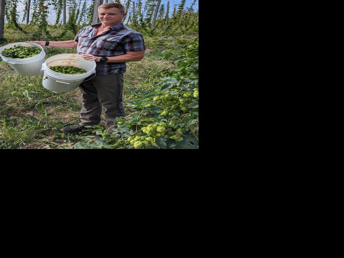Frederick County farmer growing award-winning heritage hops with ...