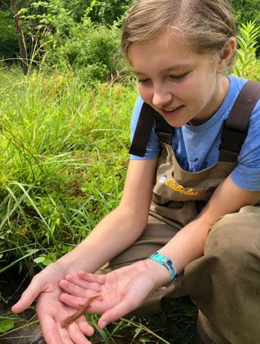 Skyline student takes environmental college course | Nvdaily | nvdaily.com