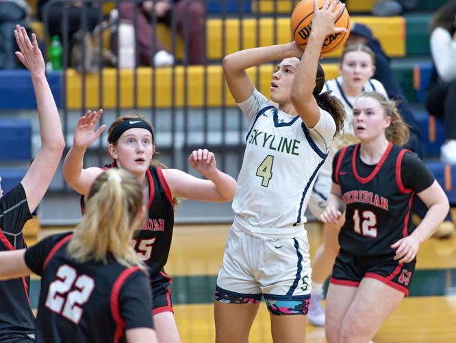 Short-handed Hawks fall to Mustangs | Nvdaily | nvdaily.com