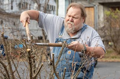 Postal Pruning | Nvdaily | nvdaily.com