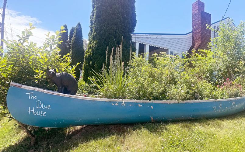 Inaugural garden tour offers fun, inspiration | Nvdaily | nvdaily.com