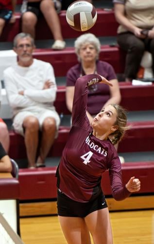 Wildcats overcome nerves, knock off rival Hawks in volleyball | Nvdaily ...