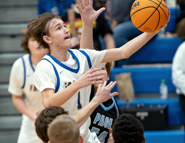Falcons fall to Panthers for first district loss | Nvdaily | nvdaily.com