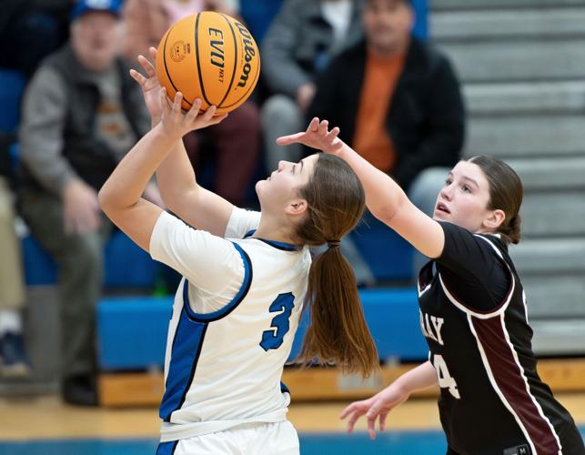 Central topples Luray in girls basketball | Nvdaily | nvdaily.com