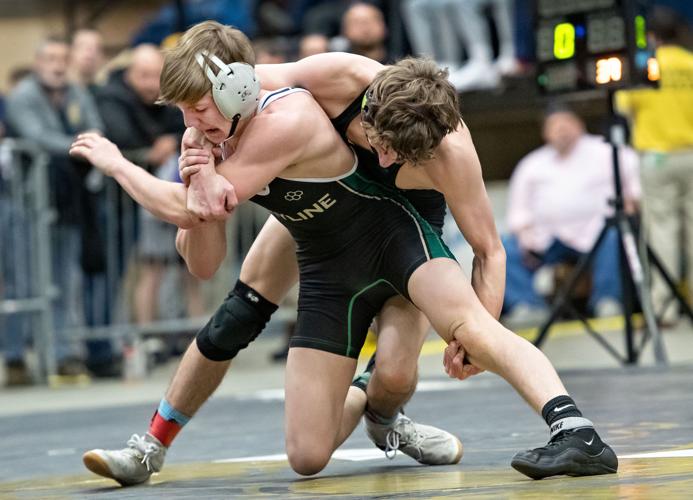 Alyea, Gue win state titles for Hawks | Nvdaily | nvdaily.com