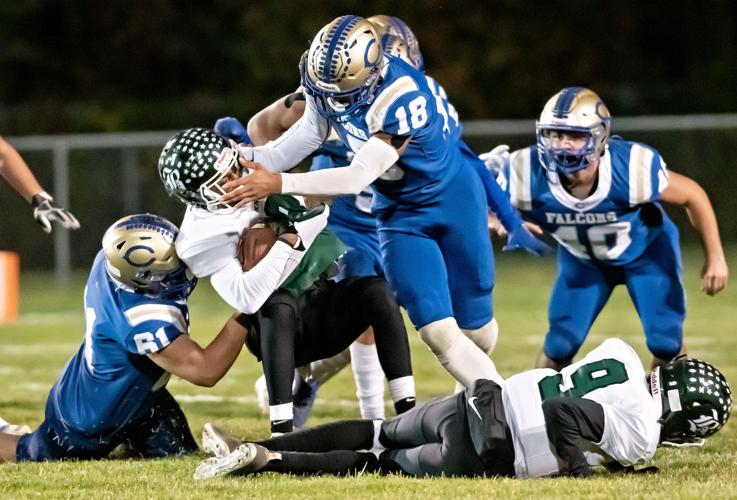 Falcons rally past Buckingham County in regionals | Nvdaily | nvdaily.com