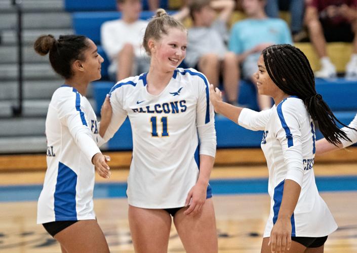 Falcons top Eagles in four sets for key district win | Nvdaily ...