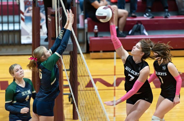 Wildcats sweep Hawks on senior night | Nvdaily | nvdaily.com