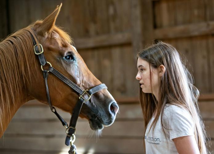 Julien Beaugnon Holds Liberty Clinic | Nvdaily | nvdaily.com