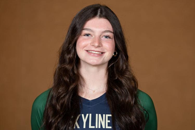 Hawks fall to Eagles in opener for coach Hurley | Nvdaily | nvdaily.com