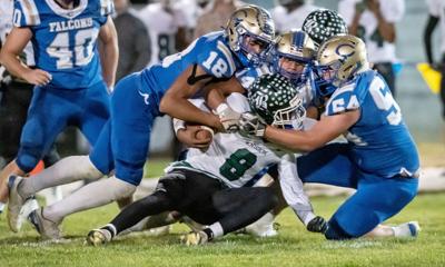 Falcons excited for rematch with Bulldogs | Nvdaily | nvdaily.com