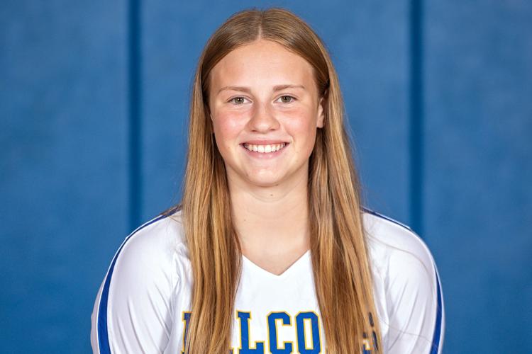 All-Bull Run District Volleyball Team | Nvdaily | nvdaily.com