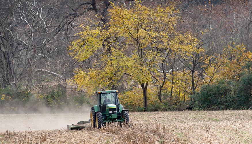 Farming Chores | Featured Stand Alone Photo | nvdaily.com