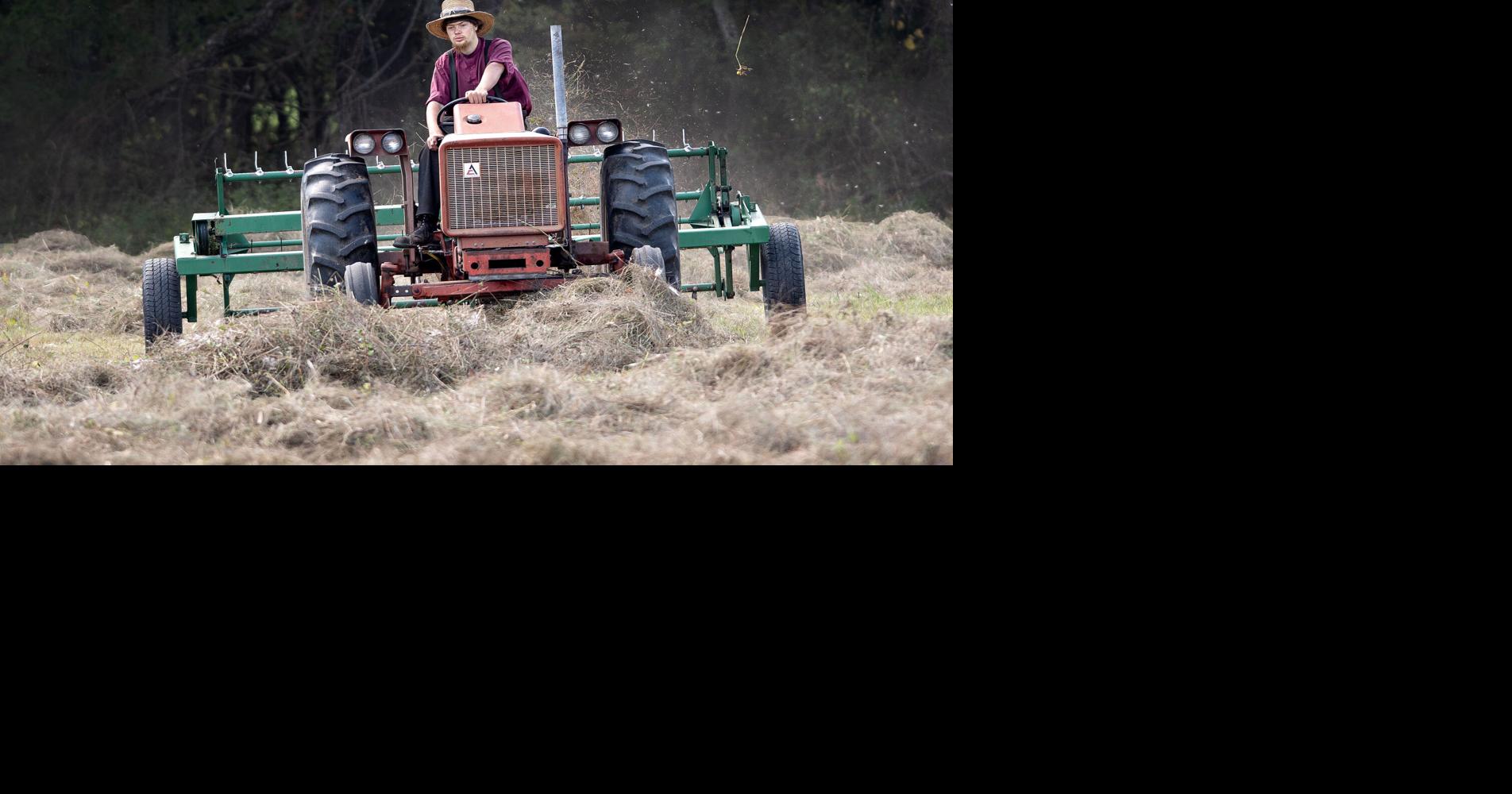 Farming Chores | Nvdaily | nvdaily.com