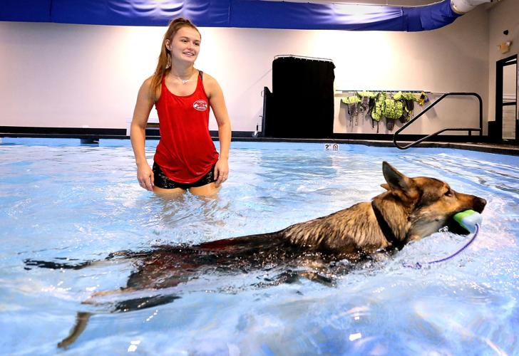 Ridgeside K9 Winchester makes a splash, opens area’s 1st aquatic center ...